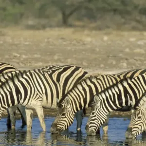 Myanmar Pathein (Bassein) Civil Hospital and Office Date