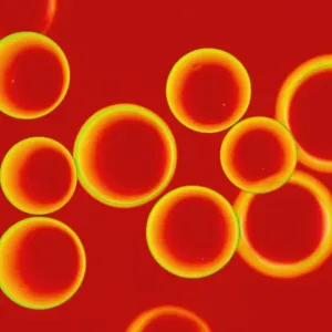 Resin used in solid phase peptide synthesis A850 / 0042