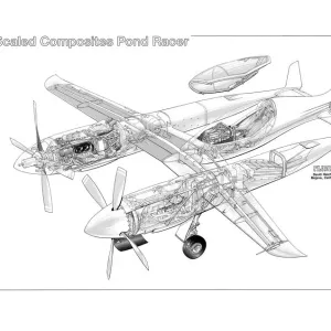 Cutaways Art Prints, Posters & Puzzles