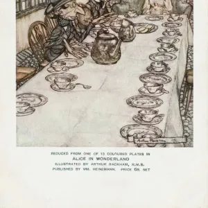 Gliridae (Mammals, Animals) Collection Our beautiful pictures are ...