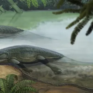 Lanthanosuchus, an extinct genus of parareptile from