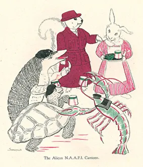 Armadillo (Mammals, Animals) Collection Our beautiful Wall Art and ...