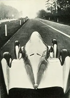 Avus (Dogs Wild, Mammals, Animals) Collection For sale as Framed Prints ...