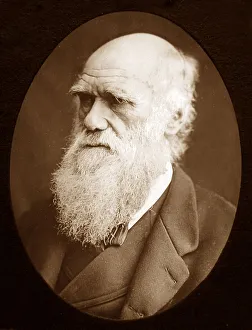 Charles Darwin (Famous Inventors Scientists)