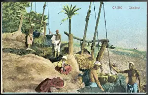 Shadoof Art Prints, Posters & Puzzles