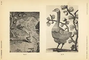 Rodrigues Solitaire Art Prints, Posters & Puzzles