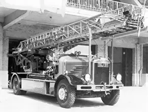 Ladders Art Prints, Posters & Puzzles