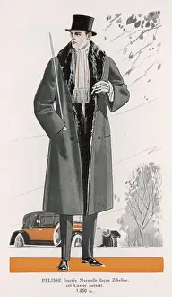 Sable (Mustelidae, Mammals, Animals) Collection Our beautiful Wall Art ...