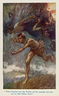 Orestes (Muridae, Mammals, Animals) Collection For sale as Framed ...