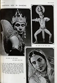 King Cobra (Cobra, Snakes, Reptiles, Animals) Collection