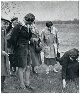 Forage Collection of Photo Prints and Gifts