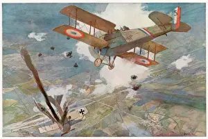 Media Storehouse: Spad Art Prints Collection