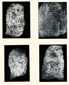 Media Storehouse: Guide To Finger Print