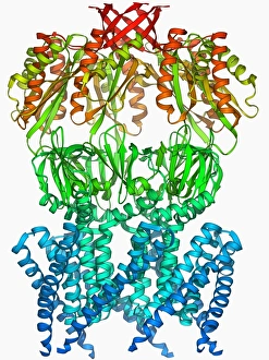 Mscl Ion Channel Protein Structure Art Prints, Posters & Puzzles