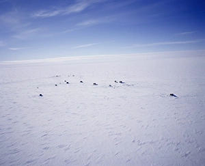 Siple Station Art Prints, Posters & Puzzles