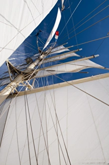 Star Clipper Sailing Cruise Ship Art Prints, Posters & Puzzles