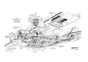 Hovercraft and Glider Cutaways Art Prints, Posters & Puzzles