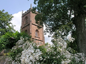 St Peter And St Paul Combe Florey