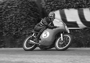 Terry Shepherd Art Prints, Posters & Puzzles