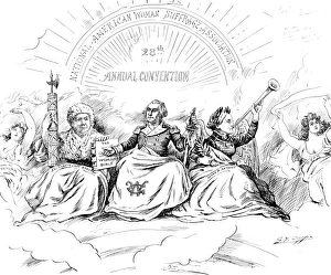 National Womens Suffrage Association