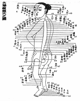 Urinary Bladder Art Prints, Posters & Puzzles
