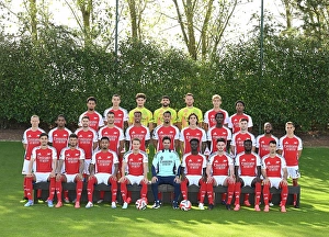 Arsenal 1st Team Squad Photo Art Prints Collection