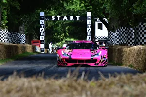 Deborah Mayer Art Prints, Posters & Puzzles