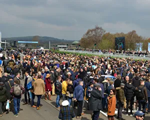A Crowded Pit Walk Art Prints, Posters & Puzzles