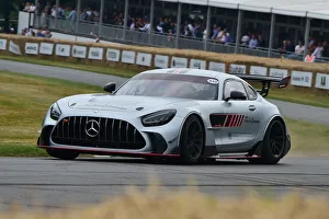 Mercedes Amg Gt Track Series Gallery of Photo Prints and Gifts