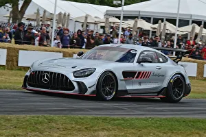 Mercedes Amg Gt Track Series Art Prints, Posters & Puzzles