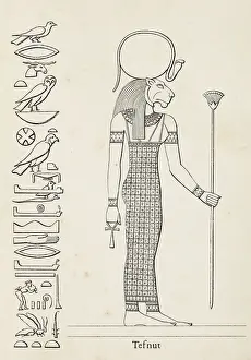 Ancient Egyptian Gods and Goddesses Art Prints, Posters & Puzzles