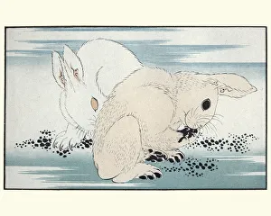 Japanese Hare Prints