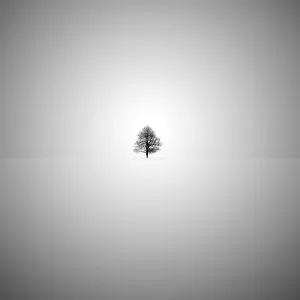 Minimalist art (Photography, Contemporary Art)