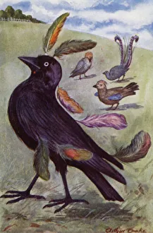 Jackdaw Collection of Photo Prints and Gifts