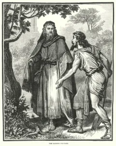 Barren Fig Tree Collection of Photo Prints and Gifts