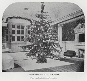 B and w christmas tree store