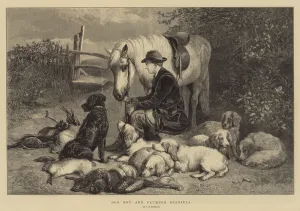 Spaniel Clumber Art Prints, Posters & Puzzles
