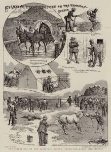 Media Storehouse: Transvaal Border