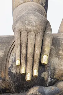 Wihan Collection of Photo Prints and Gifts