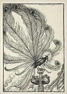 Jackdaw Collection of Photo Prints and Gifts