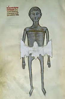 Anatomie Gallery of Photo Prints and Gifts