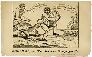 Snapping Turtles Art Prints, Posters & Puzzles