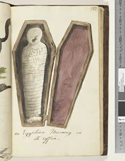 Egyptian artifacts (Ancient Artifacts Relics)