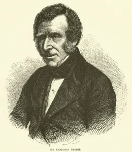 Sir Benjamin Brodie Art Prints, Posters & Puzzles