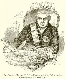 Sir Joseph Banks Art Prints, Posters & Puzzles