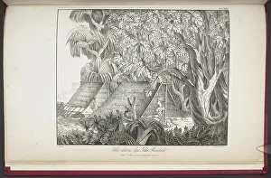 Radak Islands Art Prints, Posters & Puzzles