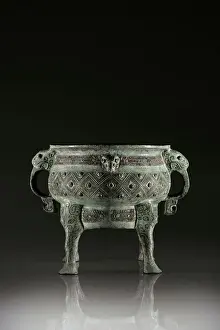 Gui±a (Cats Wild, Mammals, Animals) Collection Our beautiful pictures ...