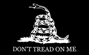 Gadsden Flag Art Prints, Posters & Puzzles