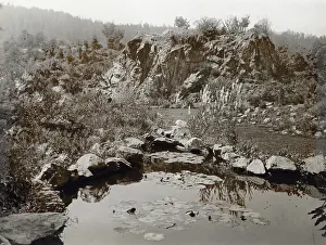 Jennie Butchart Art Prints, Posters & Puzzles