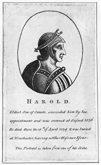 Harold Harefoot Art Prints, Posters & Puzzles
